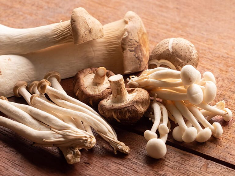 Best Mushroom Supplements for Your Health | Ultra Shroom